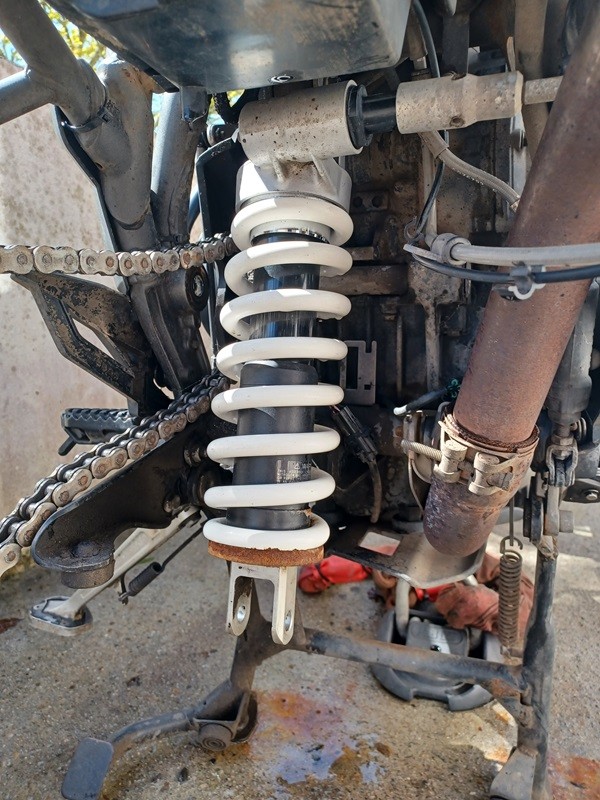 Rear XRt OEM Shock - Shock Sock - 8.5yrs - Suspension and Chassis Set ...